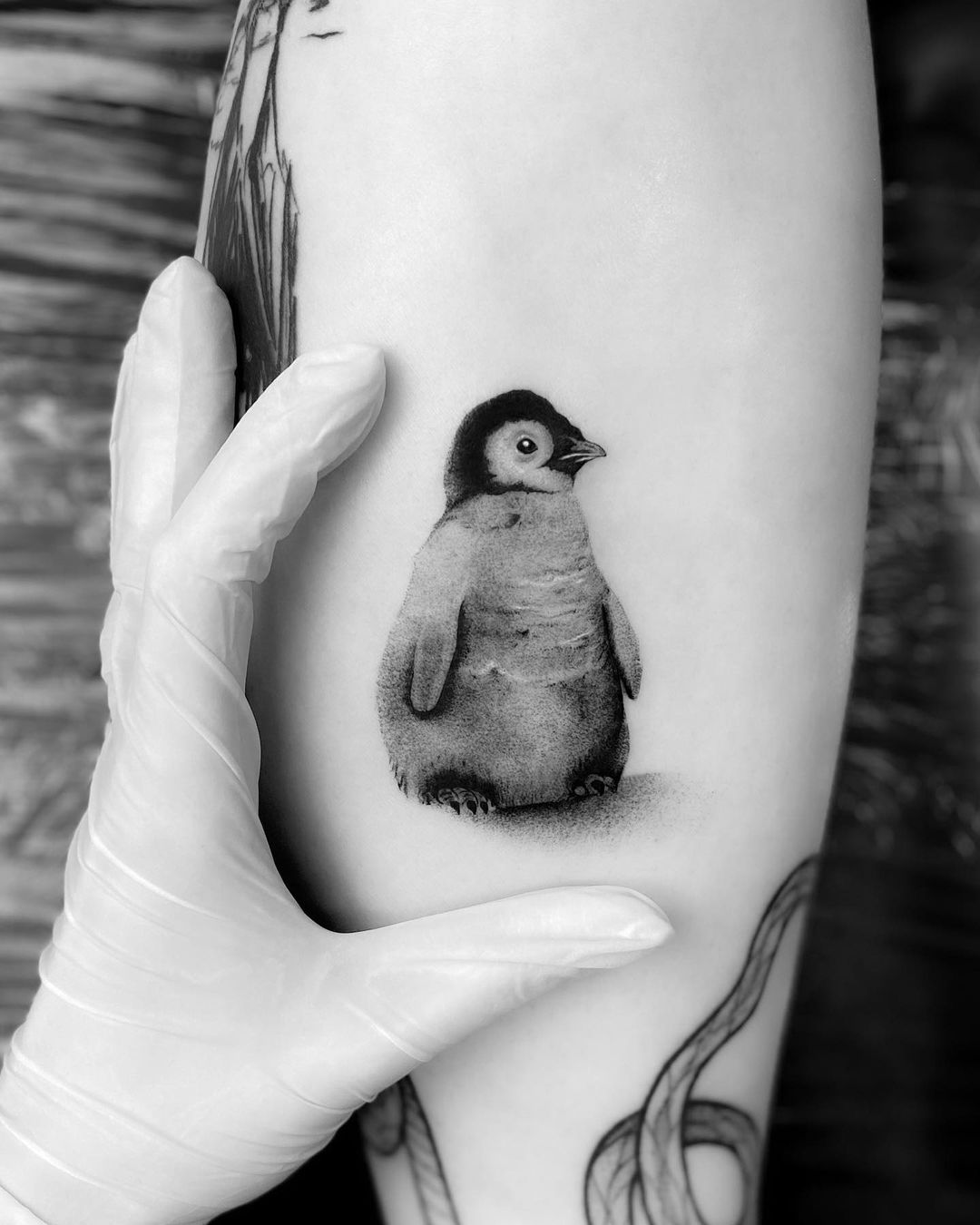 30 Penguin Tattoo Ideas That Are Unusually Adorable