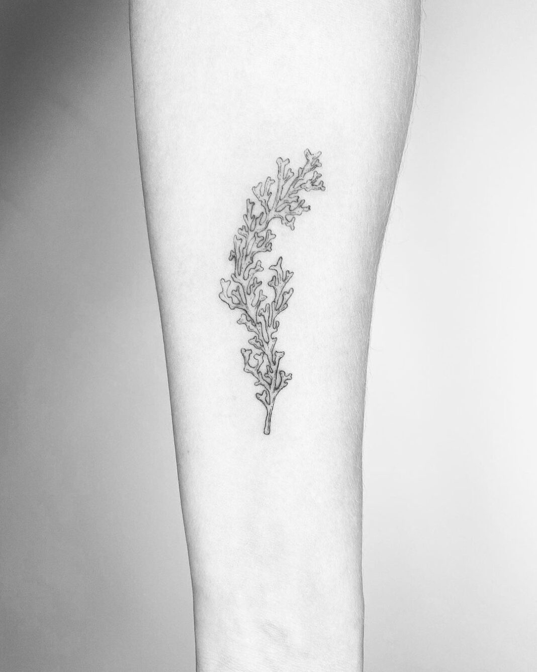 23 Immaculate Coral Tattoos For The Lovers Of The Deep Sea