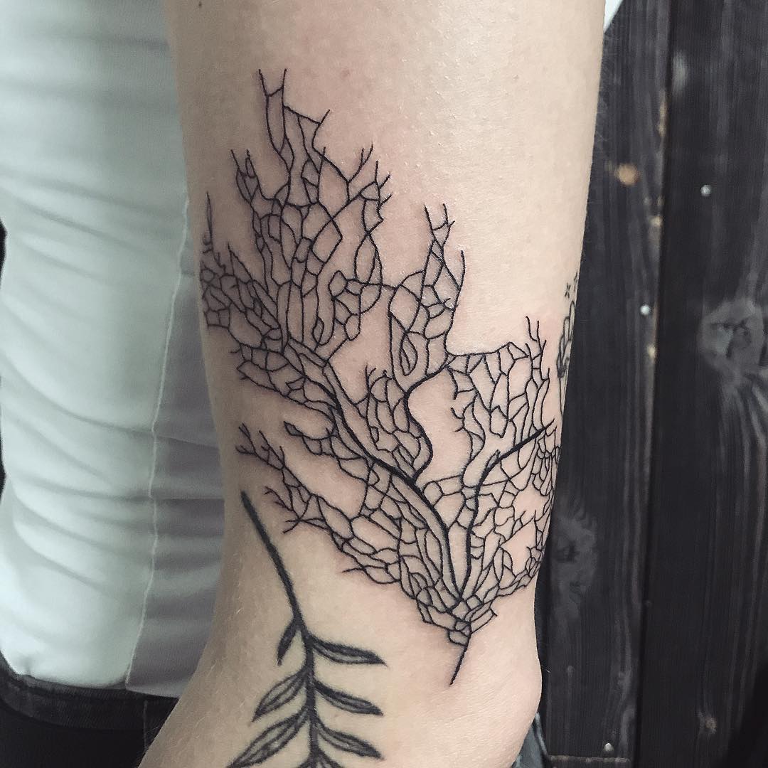 23 Immaculate Coral Tattoos For The Lovers Of The Deep Sea