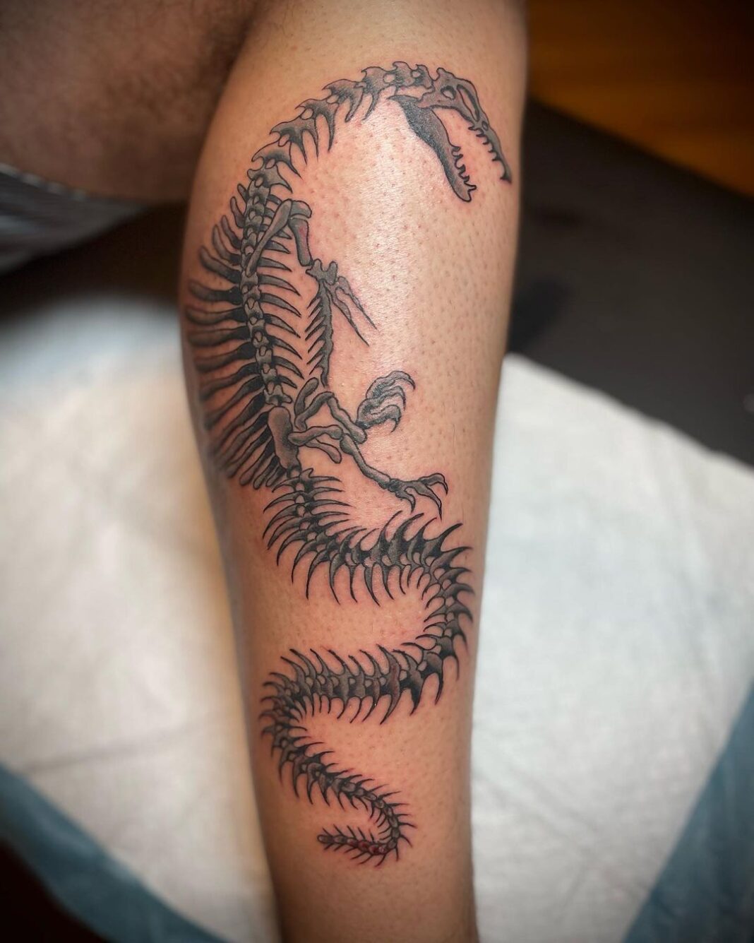 26 Creative Dinosaur Tattoos For The Lovers Of The Unusual