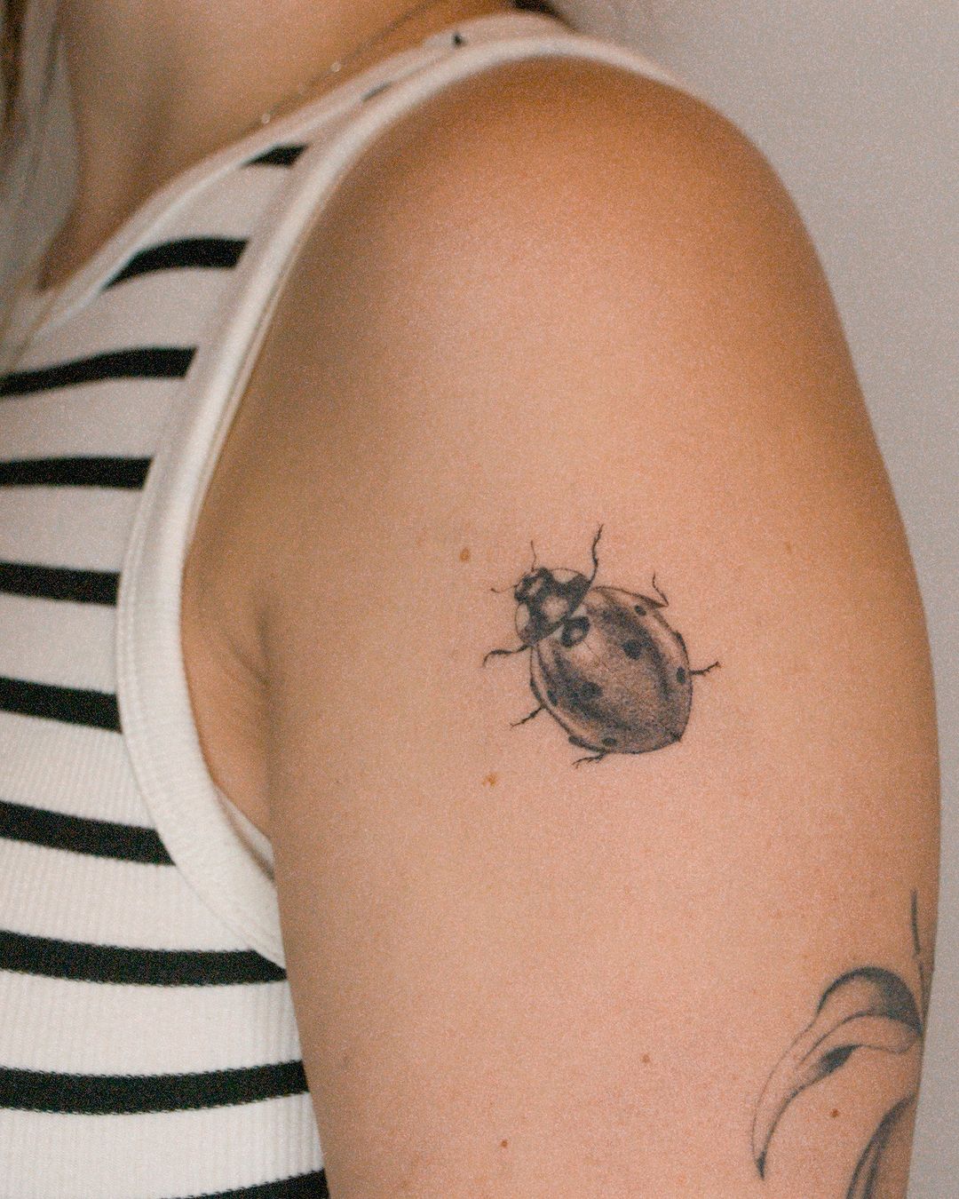 Ladybug Tattoo Meanings And 25 Irresistible "Inkspo" Ideas