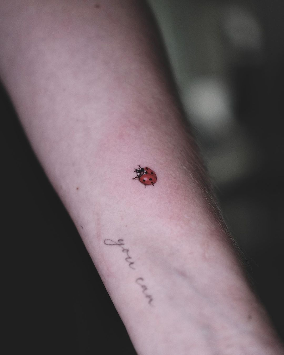 Ladybug Tattoo Meanings And 25 Irresistible "Inkspo" Ideas