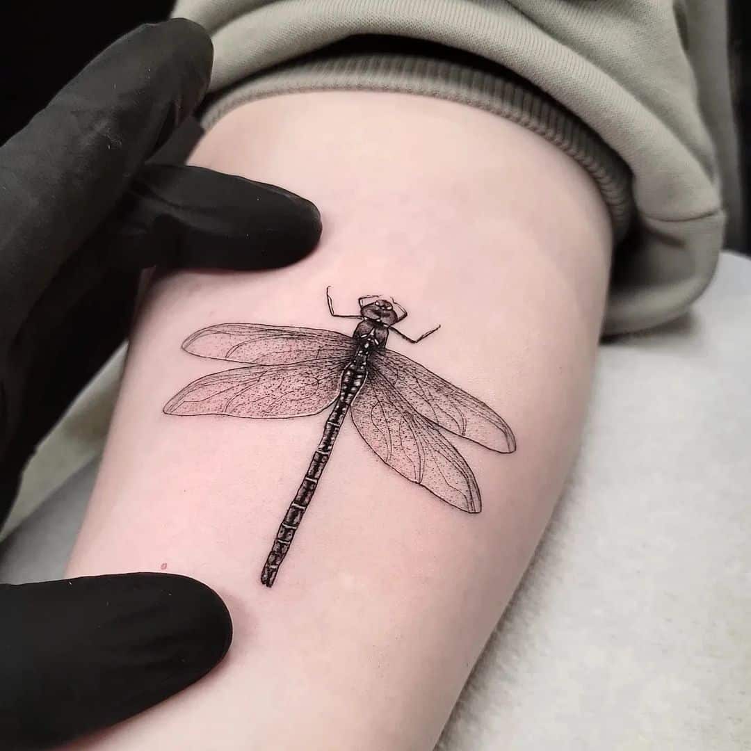 25 Epic Dragonfly Tattoos That'll Bring You Positive Energy